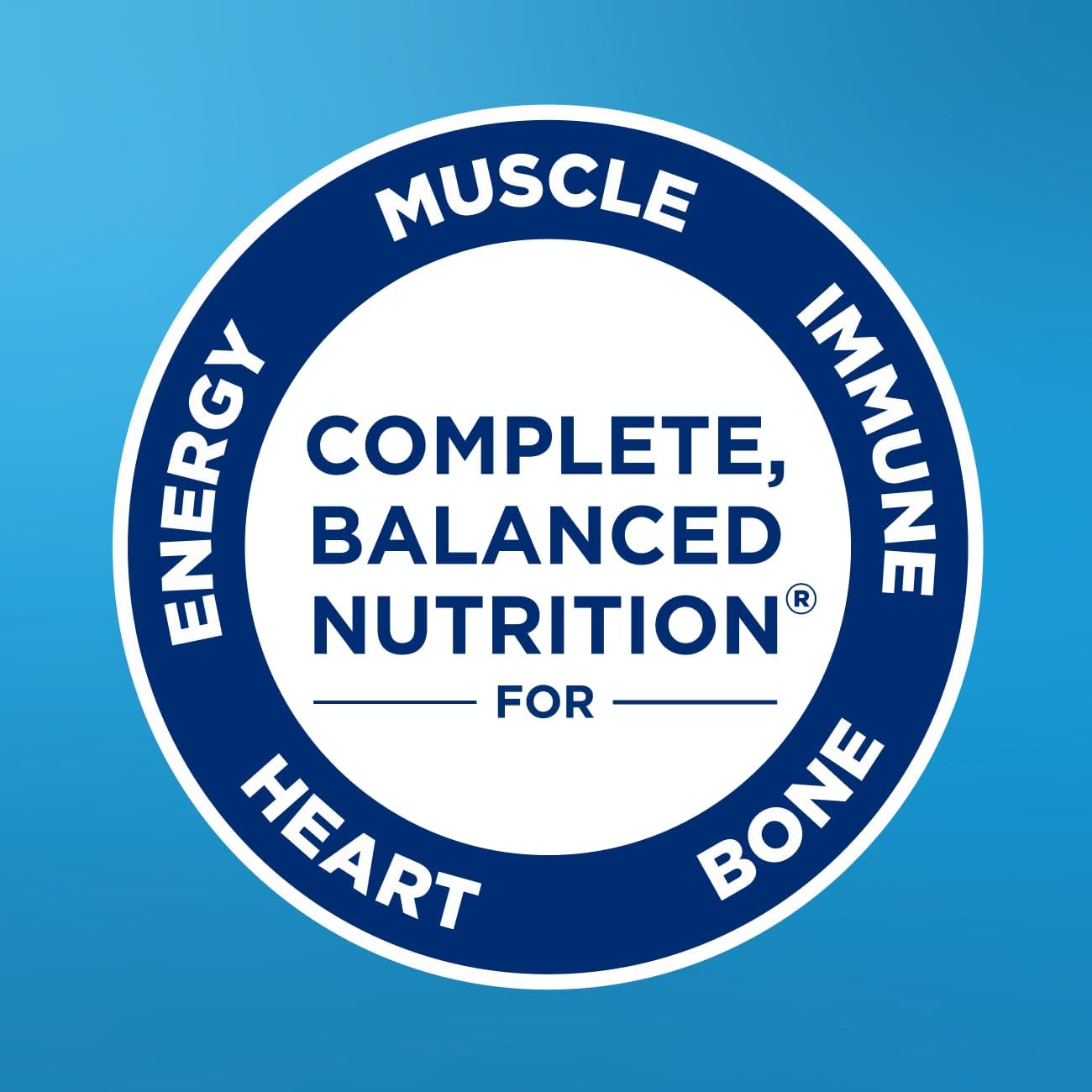 Ensure Plus Dark Chocolate Nutrition Shake | Meal Replacement Shake ...